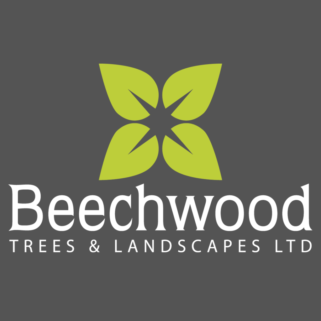 Meet our Team - Coventry Rugby